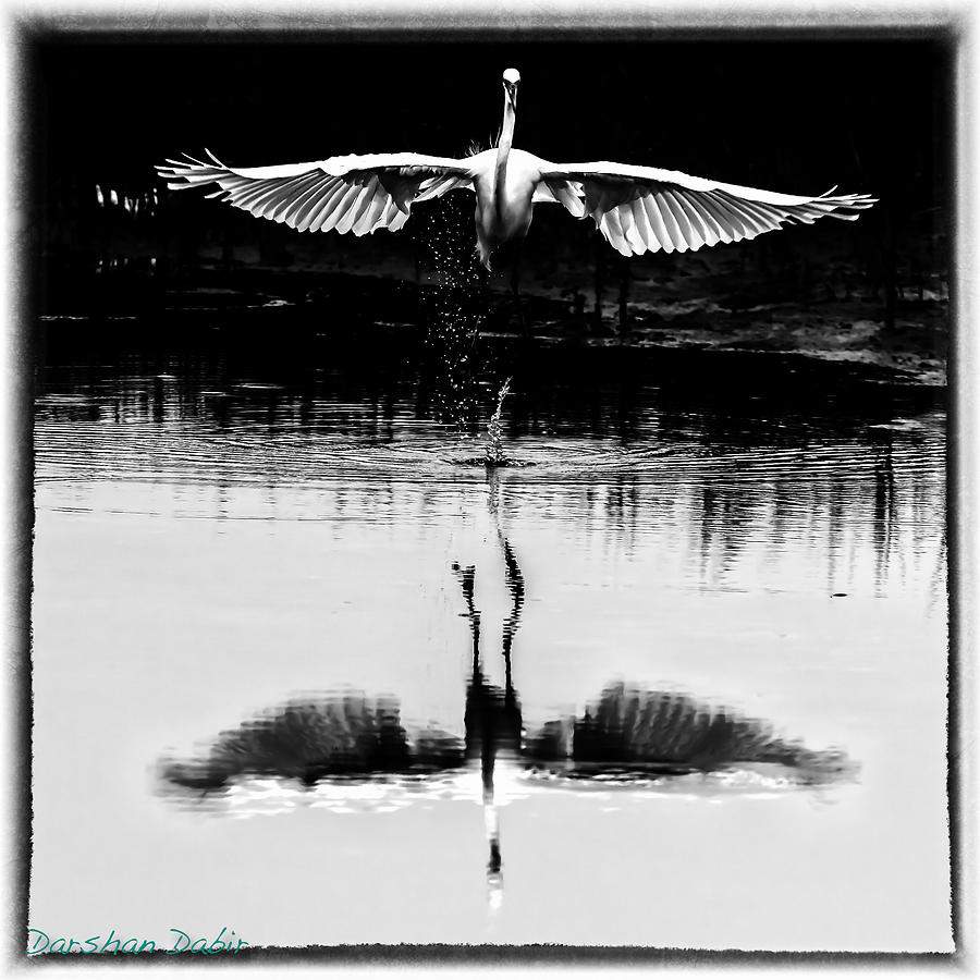 Extension Reflection 2 Photograph by Darshan Dabir - Fine Art America