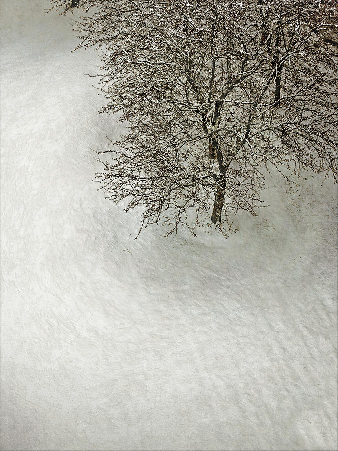 Extra Texture Photograph by John Anderson - Fine Art America