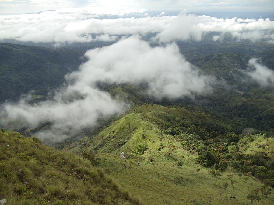 Eye Catch Photograph by Thilan Ranasinghe