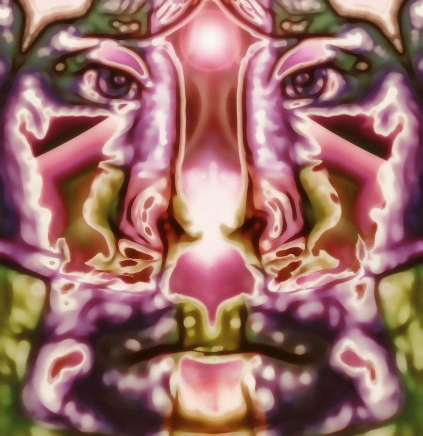 Face Abstraction 15 Digital Art by Devalyn Marshall - Fine Art America