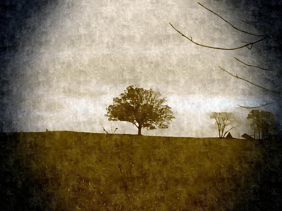 Faded Tree Photograph by Michael L Kimble - Fine Art America