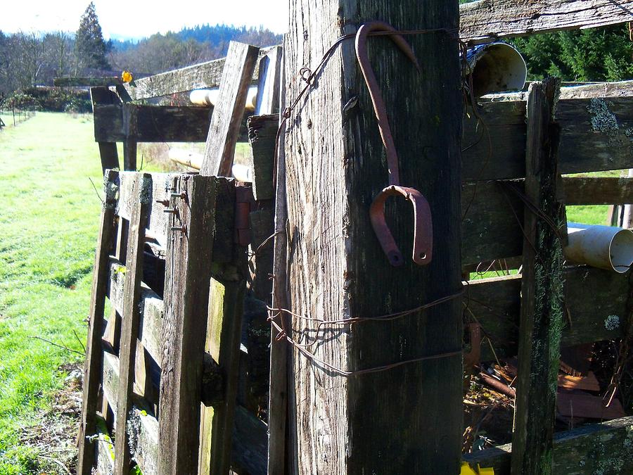 Fading Through Time Photograph by Steve Battle - Fine Art America