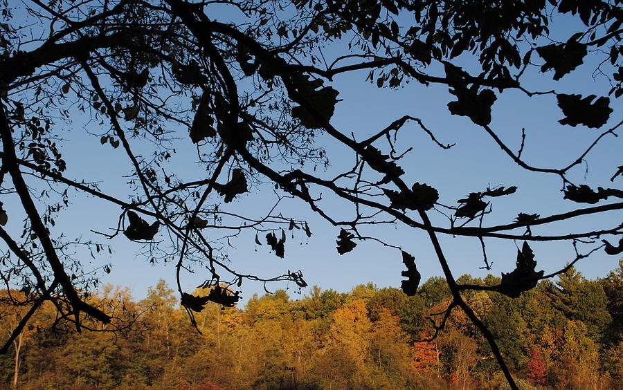 Fall Photograph by Amanda Letcavage - Fine Art America