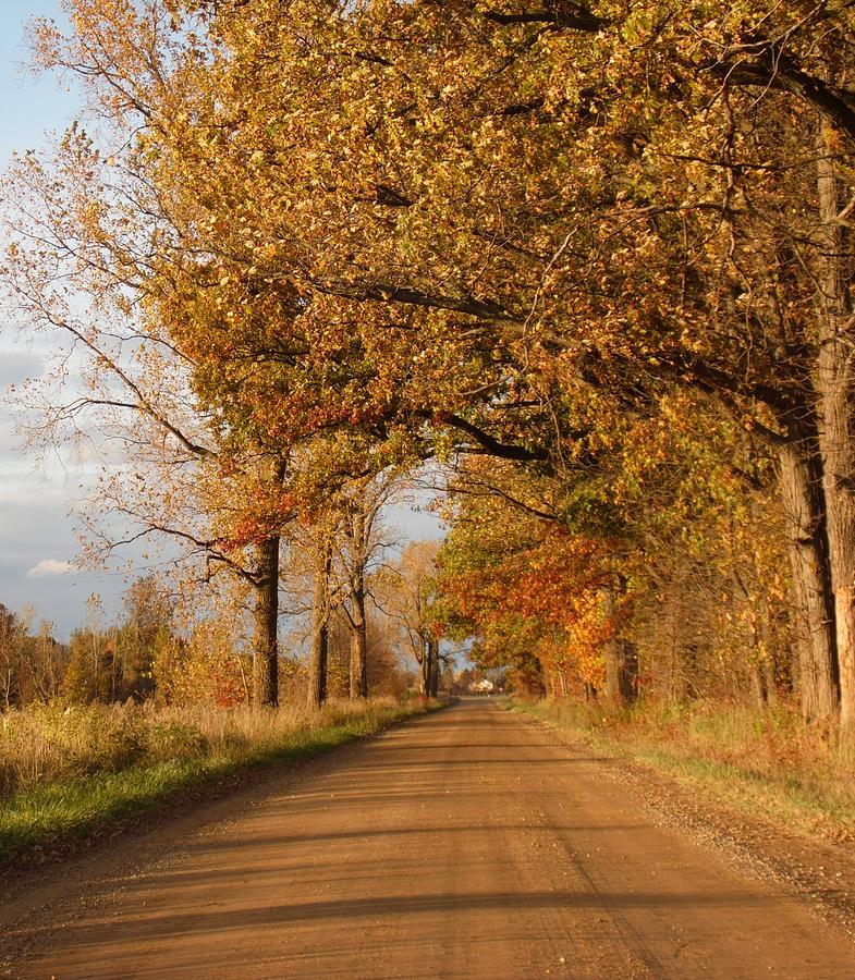 Fall Arc Photograph by Kendra DeBarr - Fine Art America