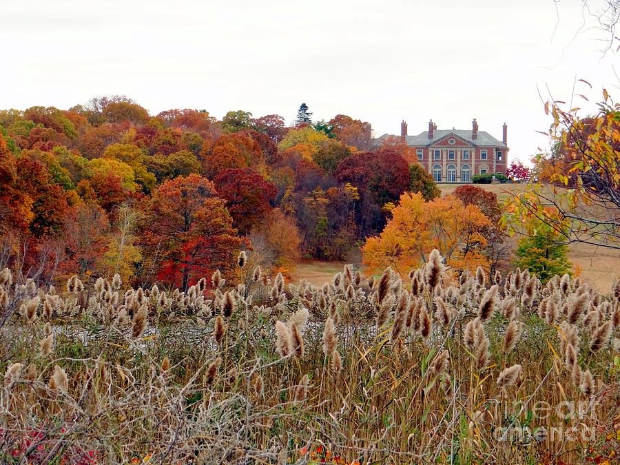 Fall At Caumsett Photograph by Ed Weidman - Fine Art America