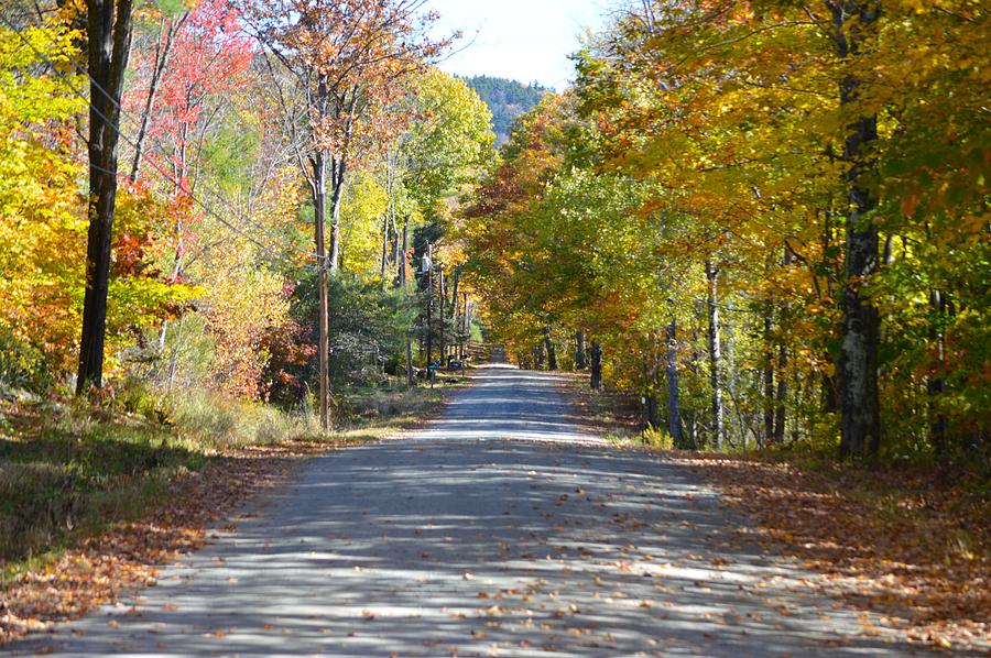 Fall Backroad Photograph by Chris Alberding - Fine Art America
