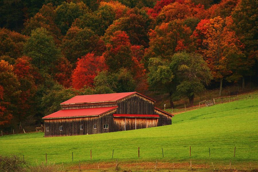Fall Barn Photograph by William Wotring - Fine Art America