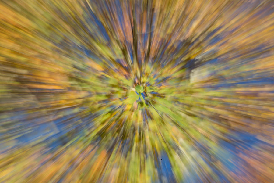 Fall Blast Photograph by Josh Baker - Fine Art America