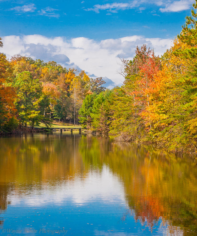Fall Day Photograph by Wayne White - Fine Art America