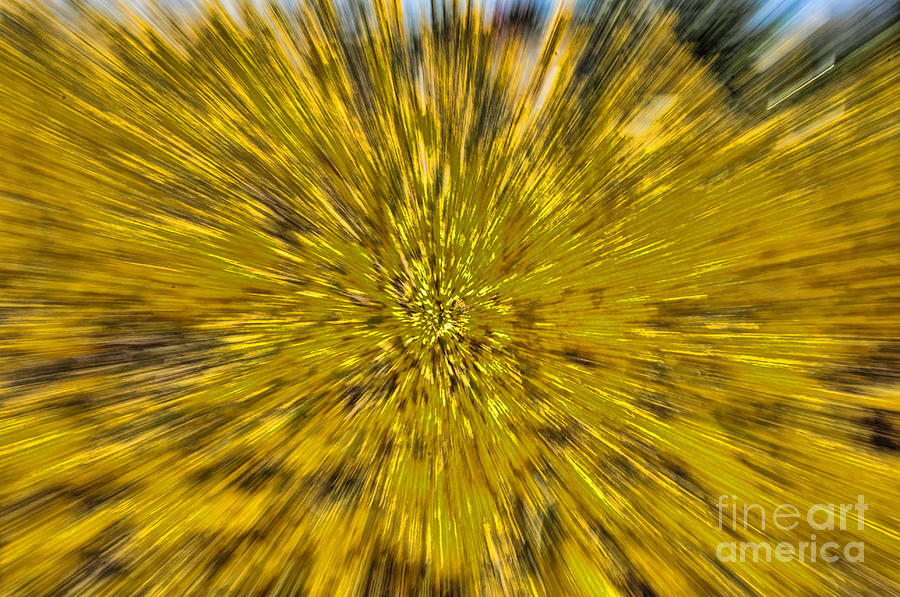 Fall Explosion Photograph by Paul Ward - Fine Art America