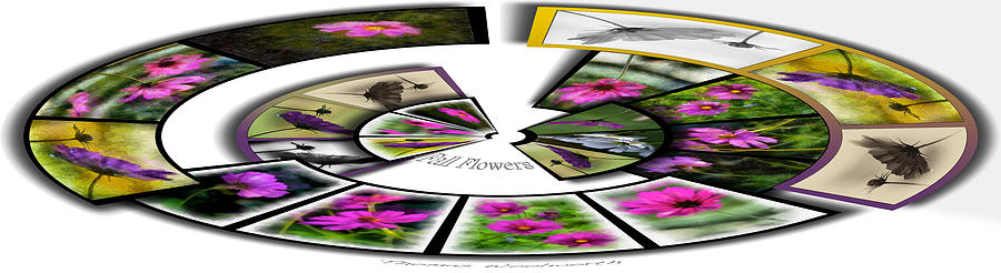 Fall Flowers Multi Panel Collage White Background 01 Photograph by ...