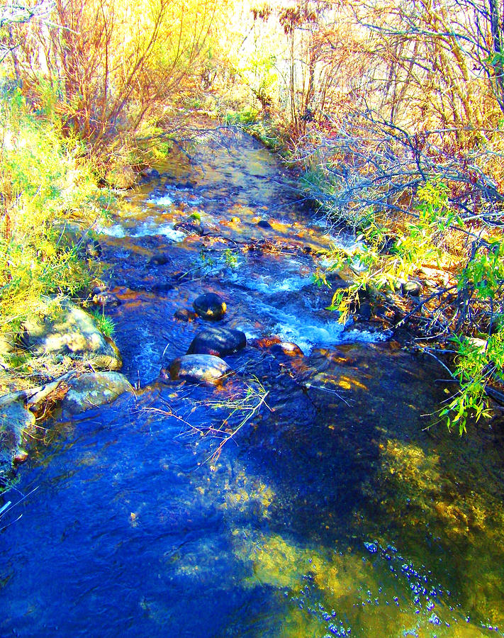 Fall Flowing Photograph by Marilyn Diaz | Fine Art America