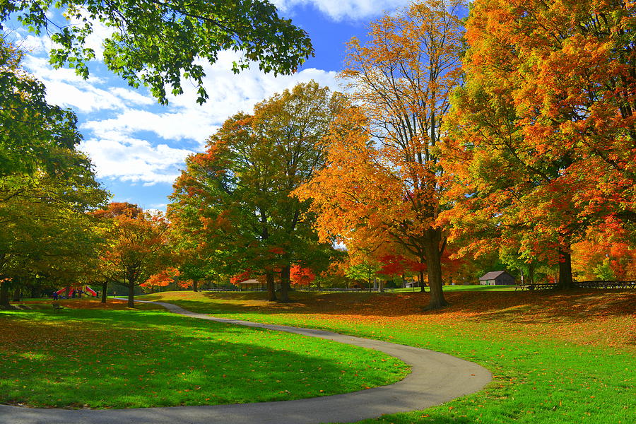Fall in the Park. Photograph by Garry Schmidt - Fine Art America