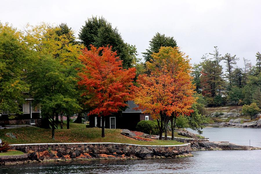 Fall Is Here Photograph by Allison Murray - Fine Art America