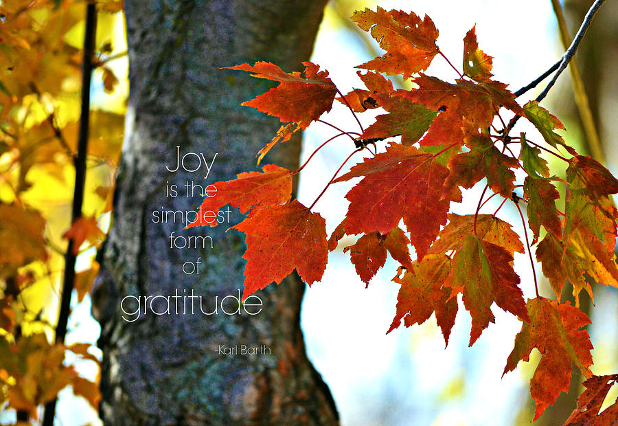 Leaves of Gratitude Photograph by Wendi Halleen - Pixels