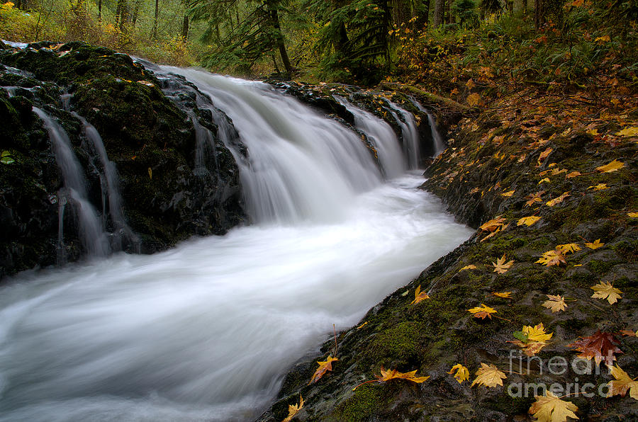 Fall Photograph by Michael White - Fine Art America