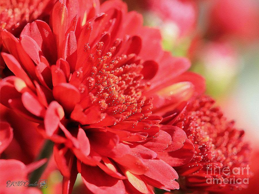 Fall Mums Painting by J McCombie - Fine Art America