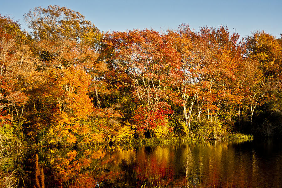 Fall on Cape Cod 31 Photograph by Dennis Coates - Pixels