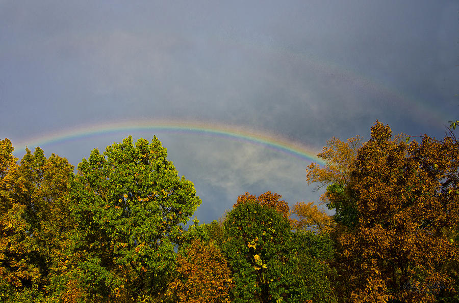 Fall Rainbow Photograph by Shirley Tinkham - Fine Art America