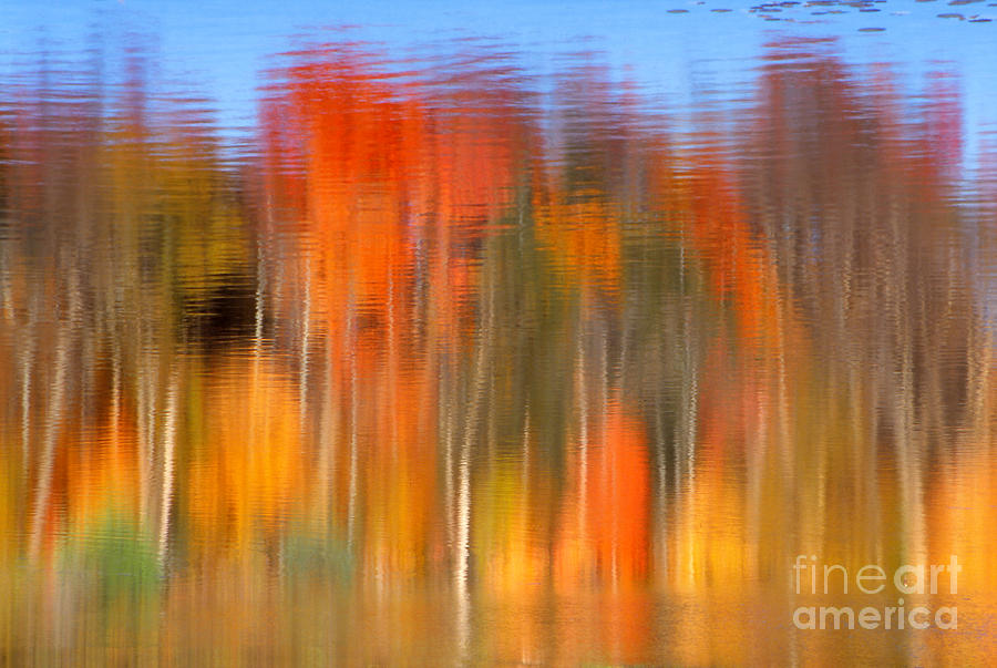 Fall Reflection Photograph by Eva Kato - Fine Art America