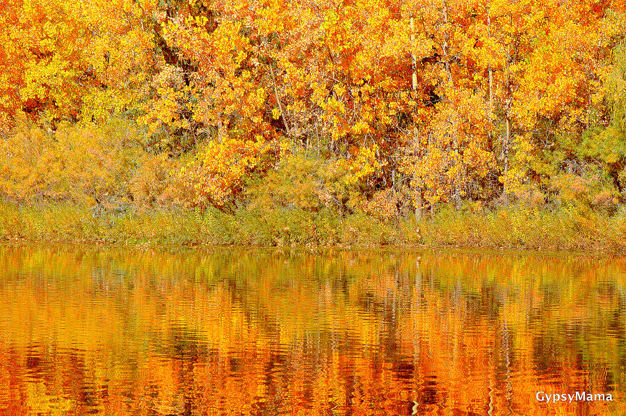 Fall Reflection Photograph by Ingrid Kristina - Fine Art America