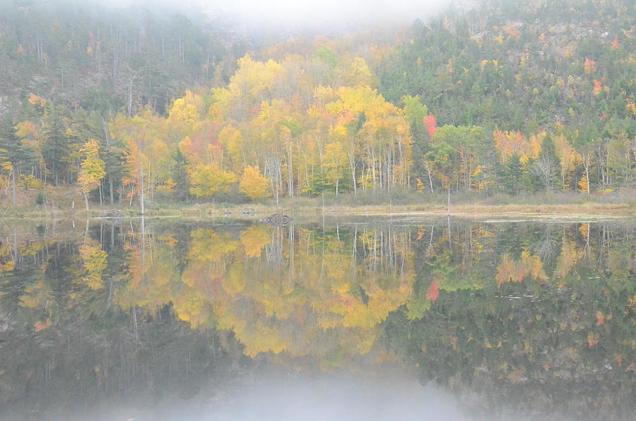 Fall reflection Photograph by Michael Gooch - Fine Art America