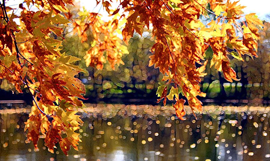 Fall Reflection Photograph by Stacey Kern - Fine Art America