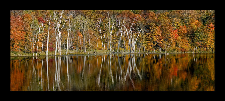 Fall Reflections Photograph by Paul Shorma - Fine Art America