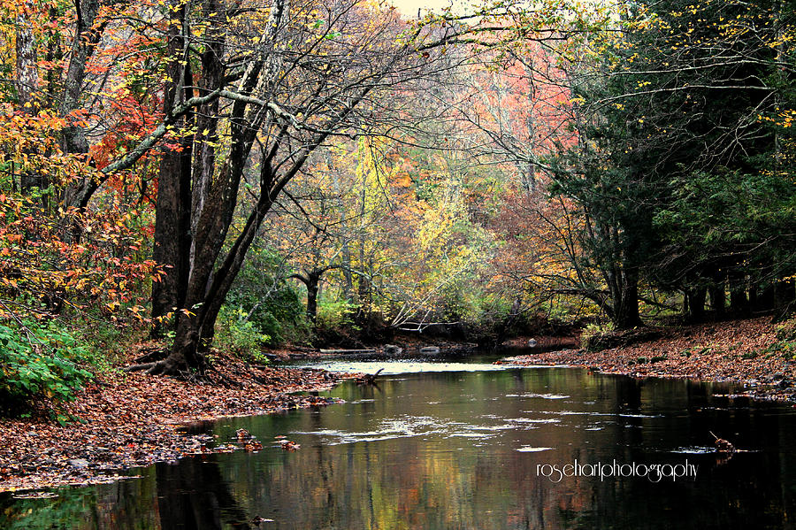 Fall River Photograph by Rose Hart - Fine Art America