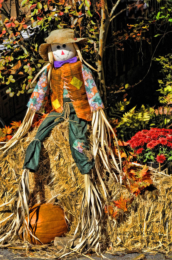Fall Scarecrow Photograph by Kenny Francis