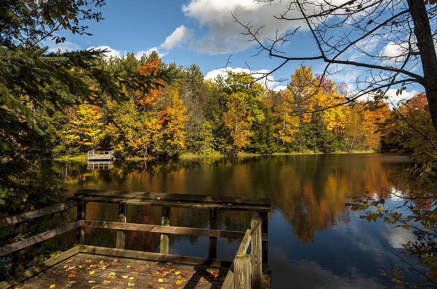 Fall Scene Photograph by Richard Kitchen - Fine Art America