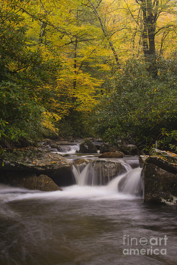 Fall Stream Photograph by Chris Norcott - Fine Art America