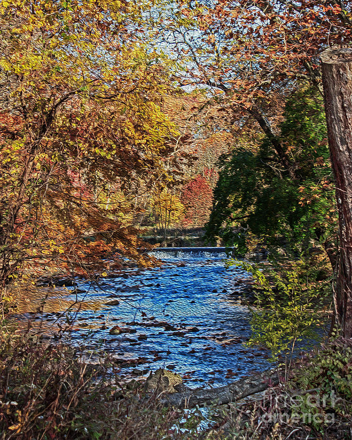 Fall Stream Photograph by Tom Gari Gallery-Three-Photography