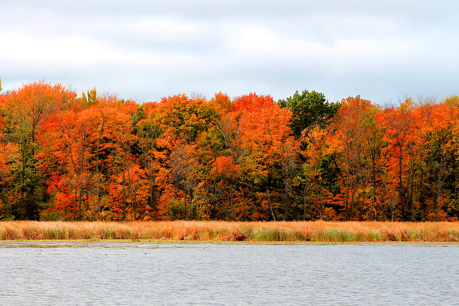 Fall5 Photograph by Nick Peters - Fine Art America