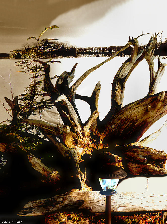 Fallen Photograph by Fred LaPoint - Fine Art America