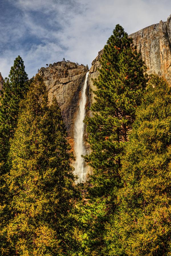 Falling Photograph by Angelo Bianchini | Pixels