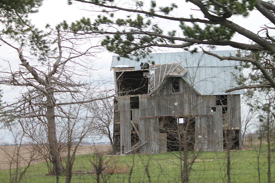 Falling Down Barn Photograph by Minnie Davis | Fine Art America