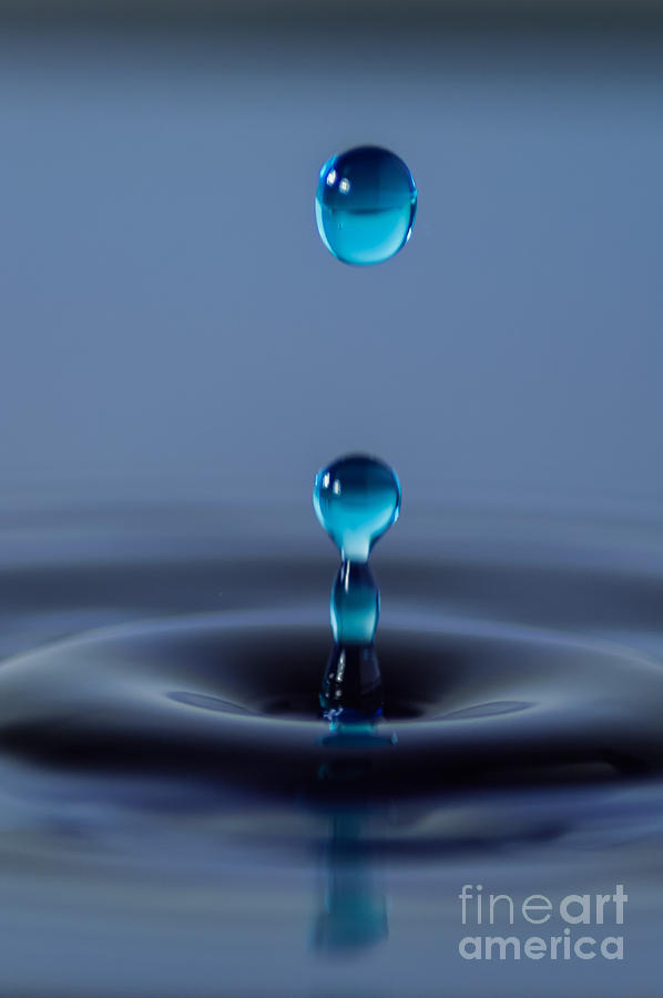 Falling Drop Photograph by Patrick Shupert - Fine Art America