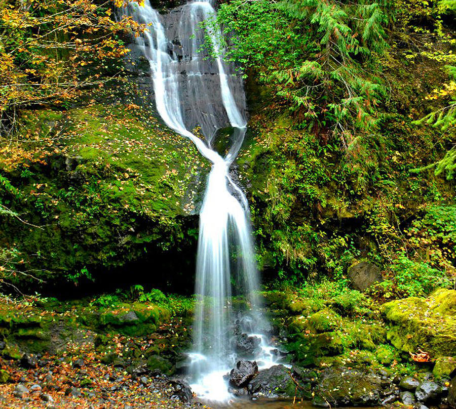 Falling Water Photograph by Margaret Engel - Fine Art America