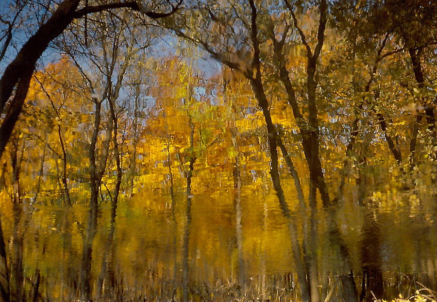Falls Reflection Photograph by David Flitman - Fine Art America
