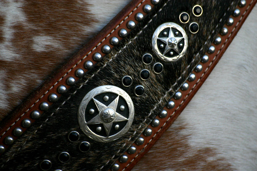 Fancy Harness Photograph by Len Smith - Fine Art America