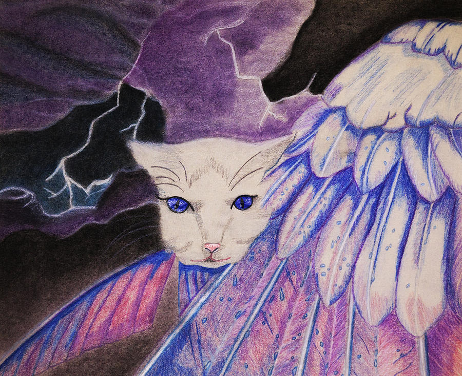 Fantasy Kitten Drawing by Melanie Schneider - Pixels