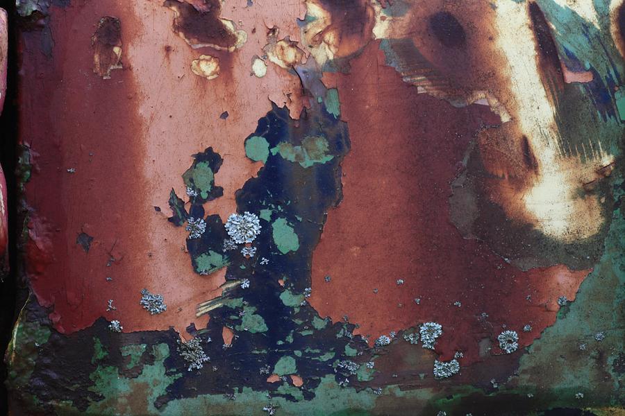 Fargo Rust 2 Photograph by Bryan Davies - Fine Art America