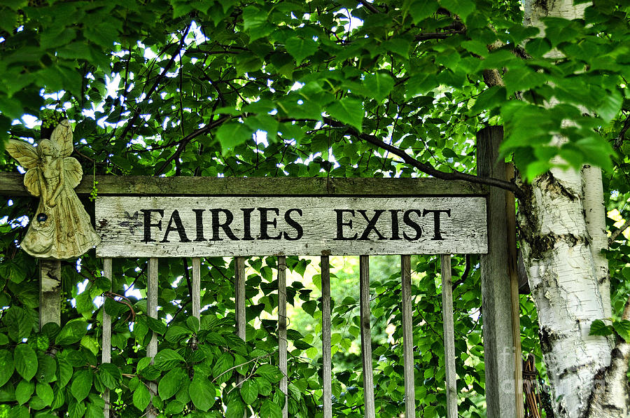Faries Exist Photograph by David Arment - Fine Art America