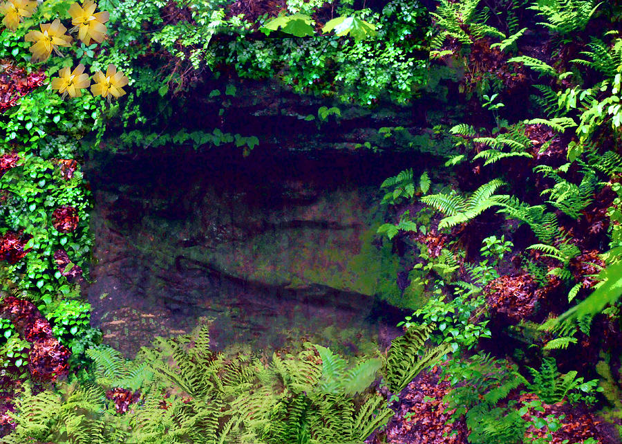 Fauna Landscape Photograph by Mike Andre - Fine Art America