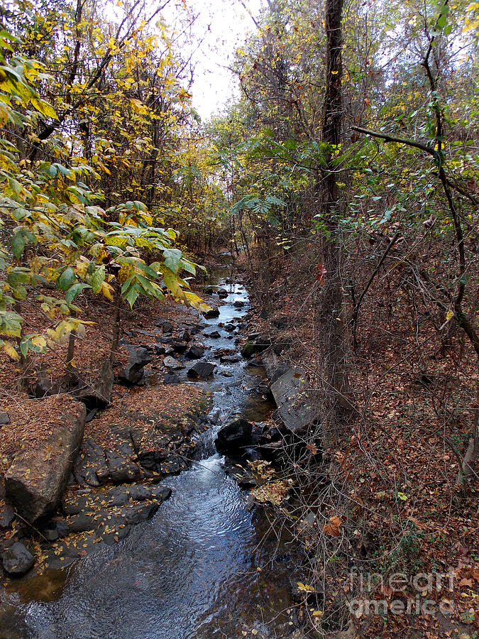 Feeder Stream Photograph by Skip Willits - Fine Art America