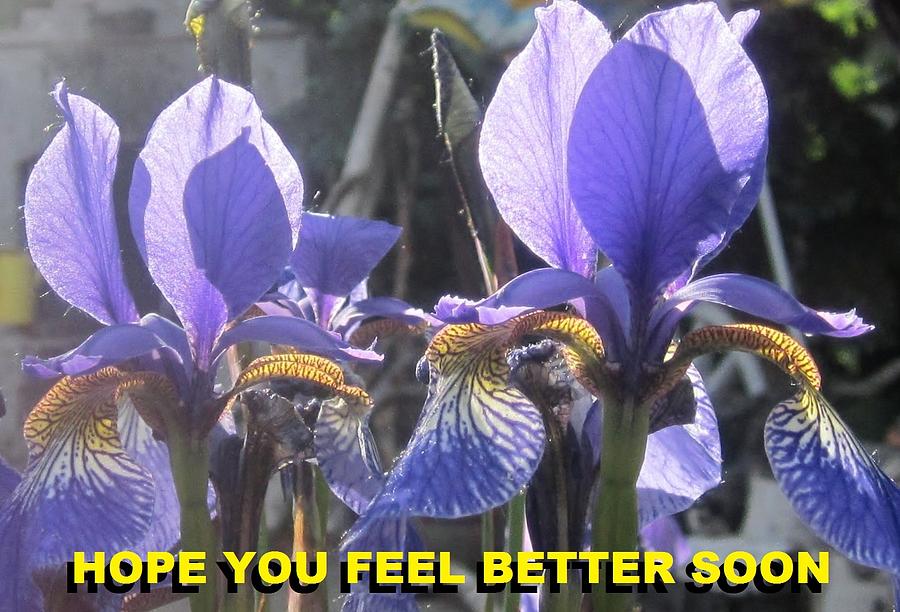 Feeling Better Photograph by Cathy Long - Fine Art America