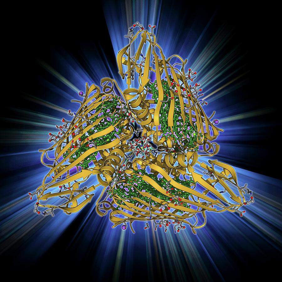 Fenna-matthews-olson Complex Molecule by Science Photo Library