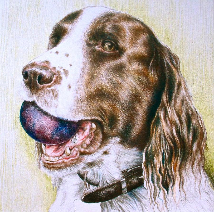 Fetch Drawing by Helen Bennett