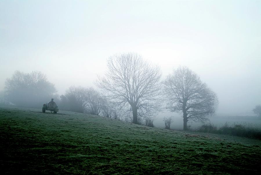Field In Mist Photograph by Jonas Hamers/reporters/science Photo ...